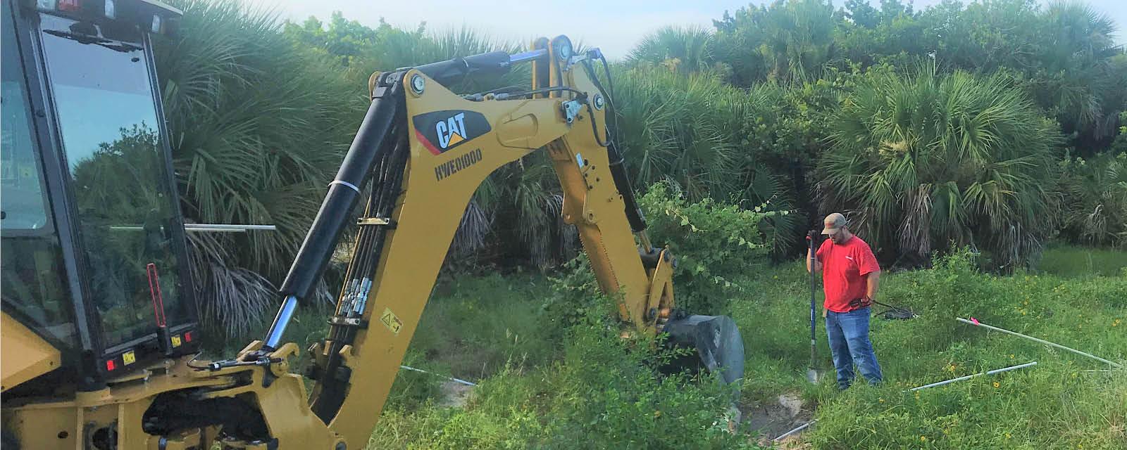 FDEP Sebastian Inlet State Park Cove Swimming Area: Gopher Tortoise ...