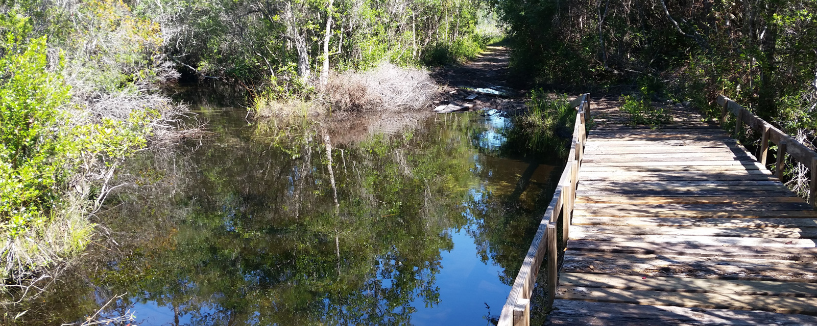 Escribano Point | DRMP